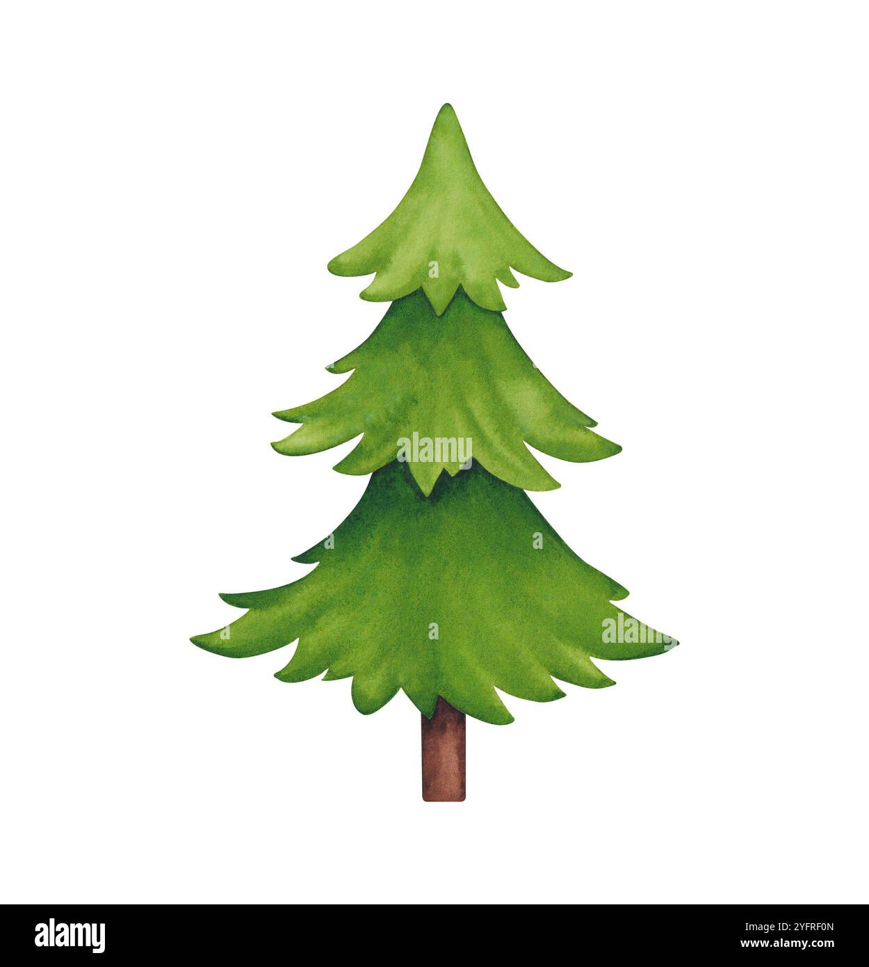 Watercolor evergreen tree isolated on a white background. Hand drawn ...