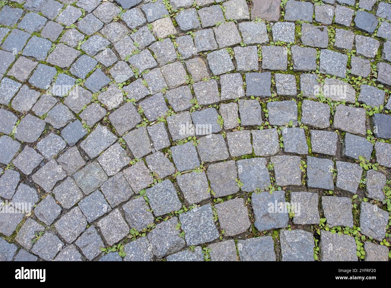 Cobblestone, texture, background, Muensterland, North Rhine-Westphalia ...