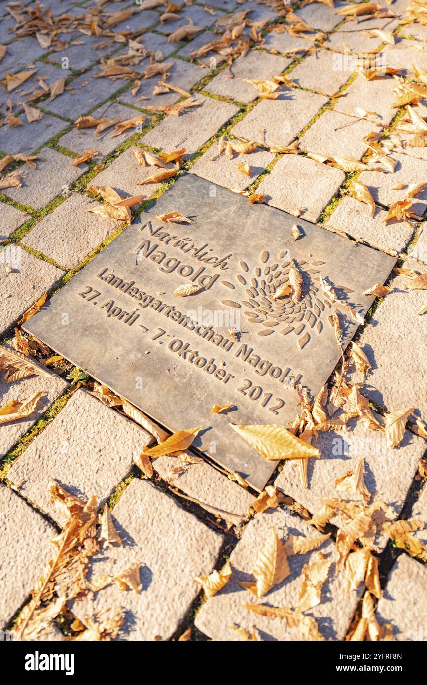 Memorial stone surrounded by autumn leaves on a cobbled path, Nagold ...