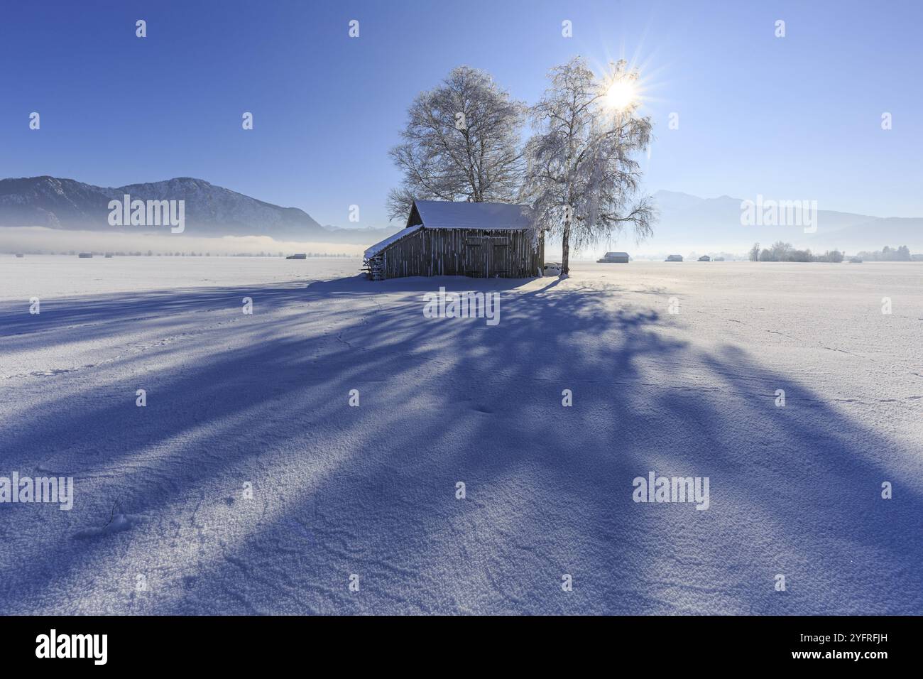 Trees and hut, long shadows, sunbeams, backlight, snow, winter, fog ...