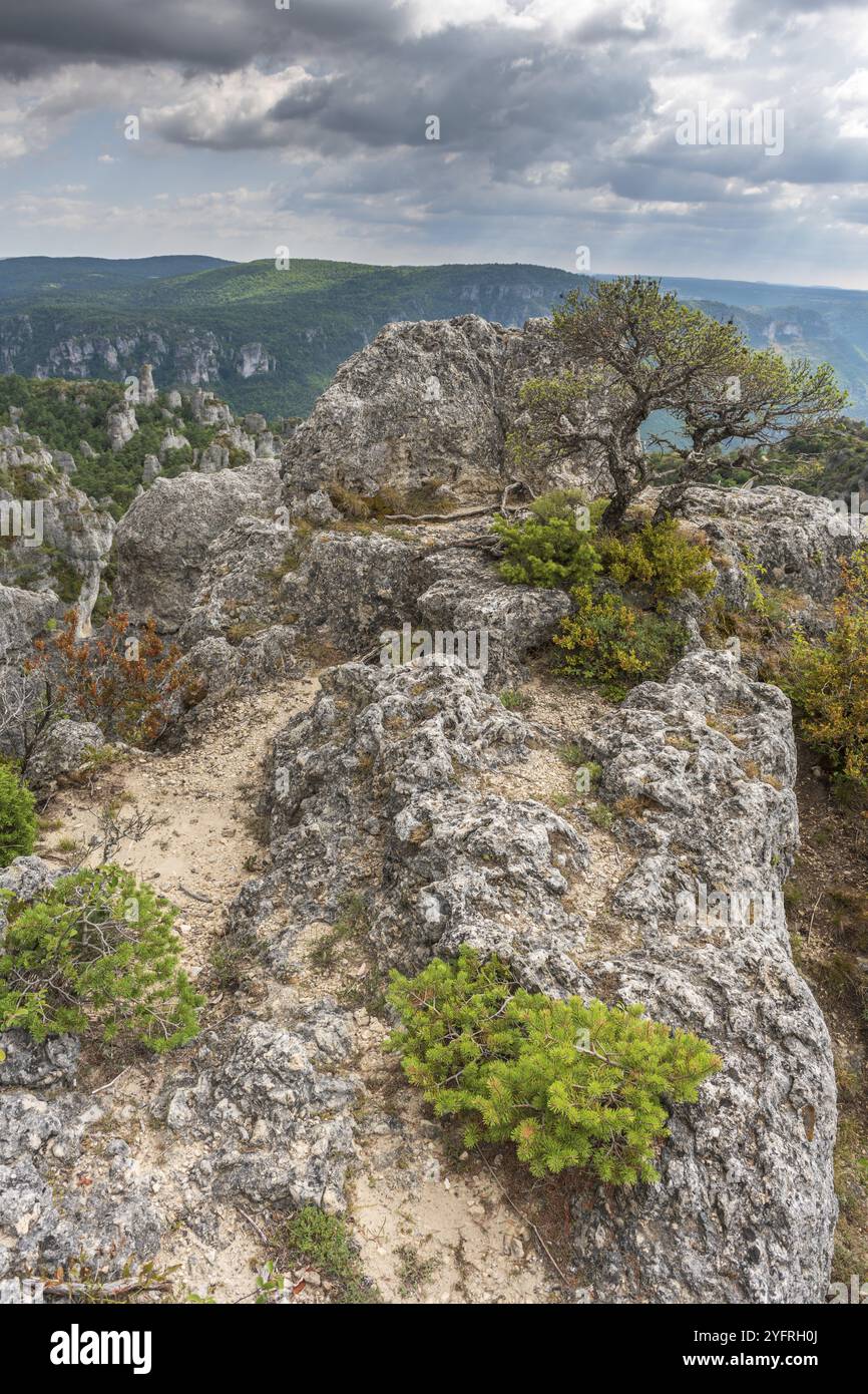 The city of stones, within Grands Causses Regional Natural Park, listed ...