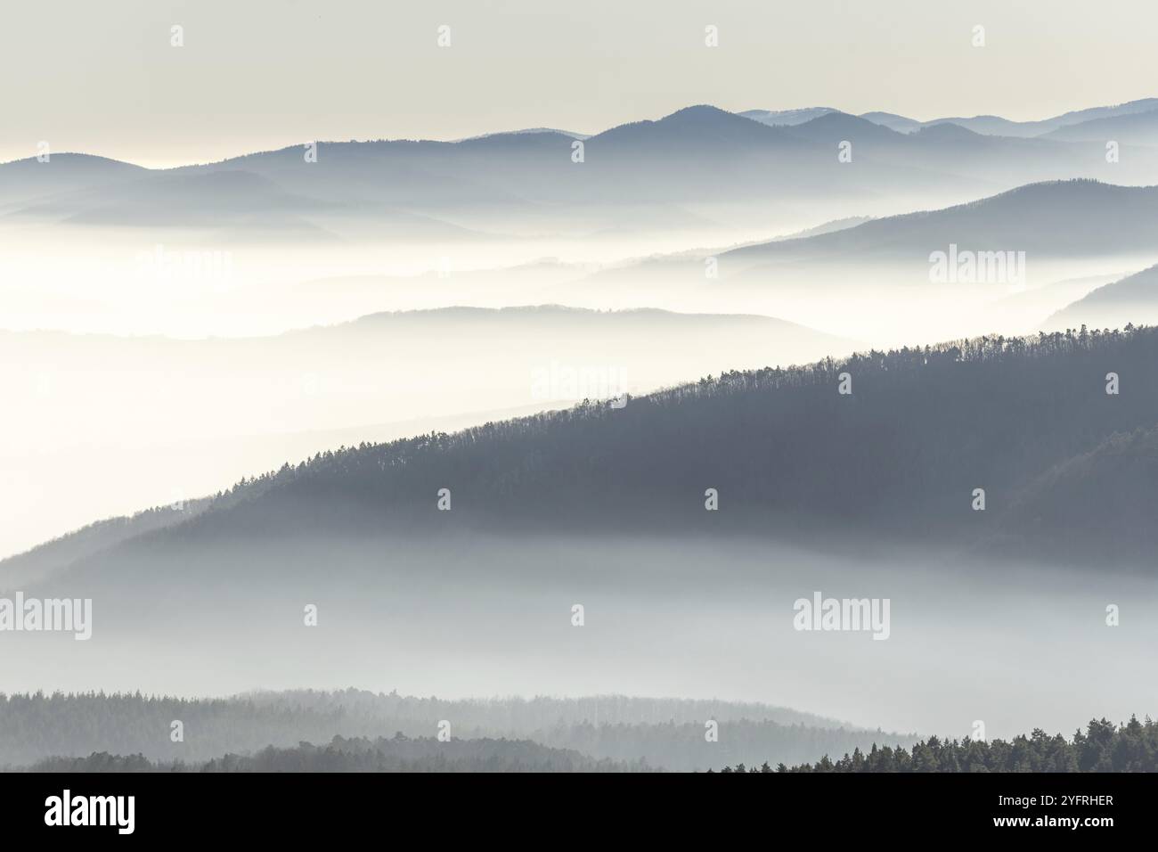 Silhouettes of mountains in the sea of fog in winter. Vosges, France ...