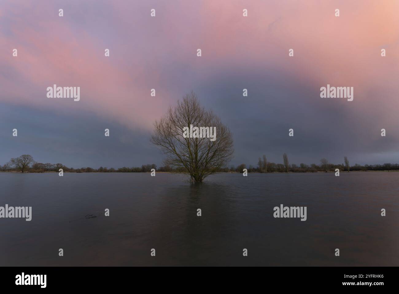 Trees submerged in the flooded during Sunset Stock Photo - Alamy