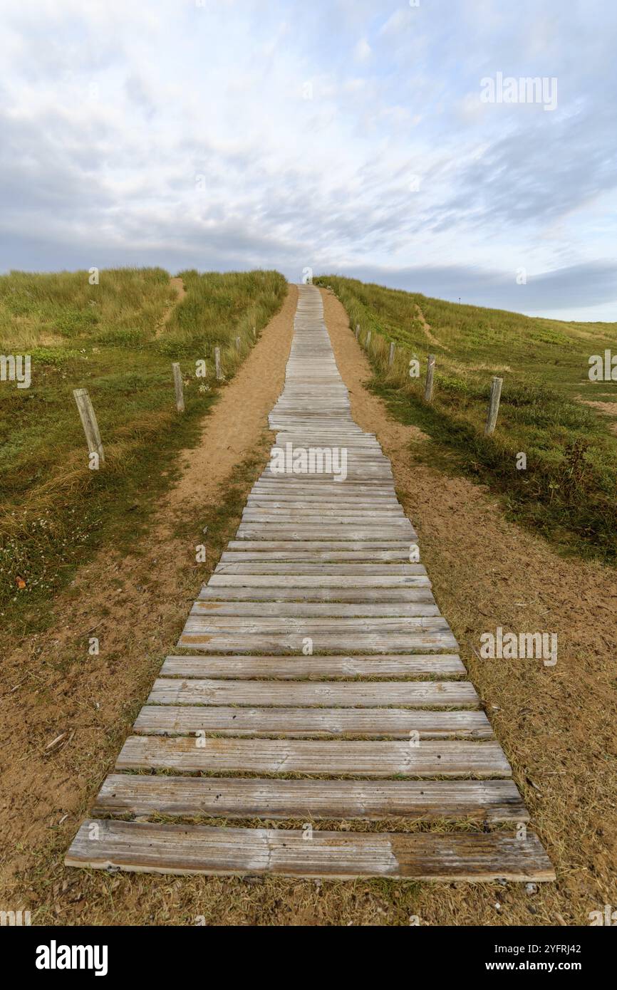 Boardwalks in sand dunes hi-res stock photography and images - Alamy