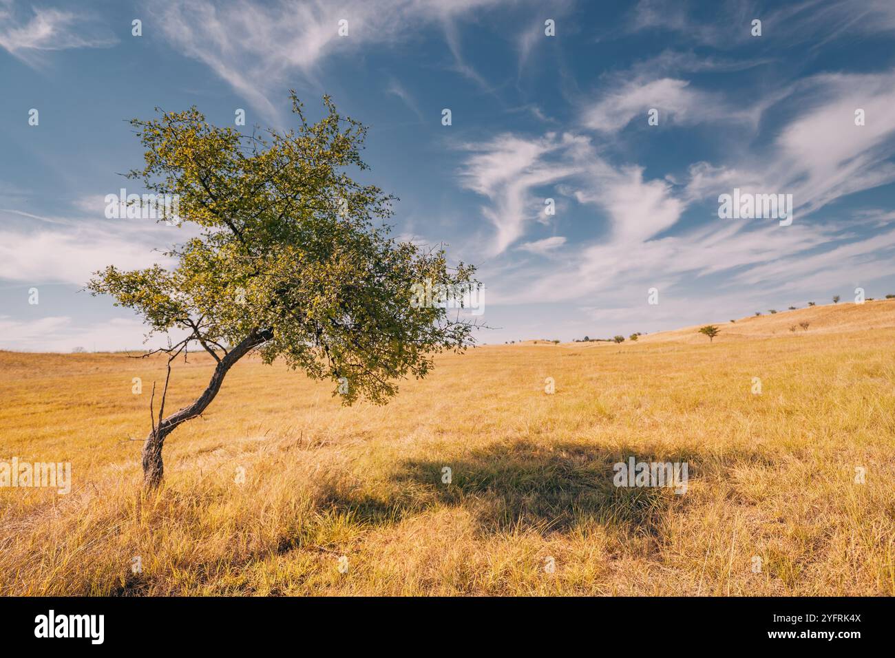 The autumn colors of the wilderness blend with the grasslands, offering ...