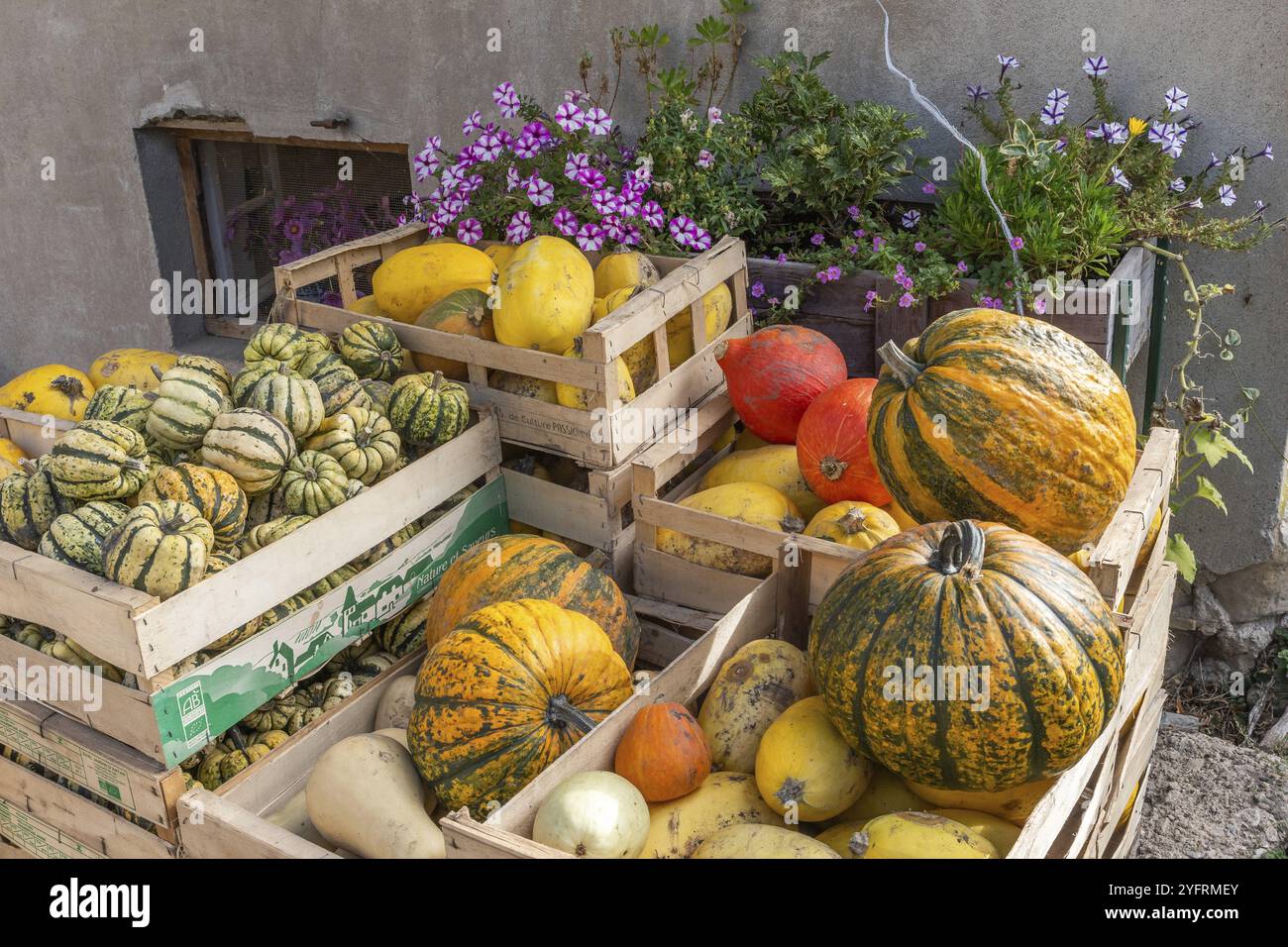Vegetable boxes farmyard hi-res stock photography and images - Alamy