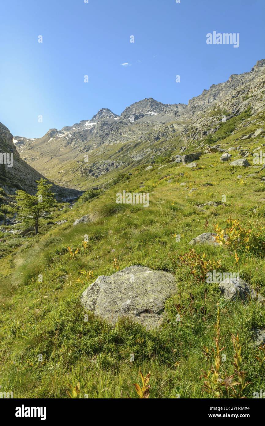 The Grand Etret Valley in the Grand Paradis National Park. pont, Aoste ...