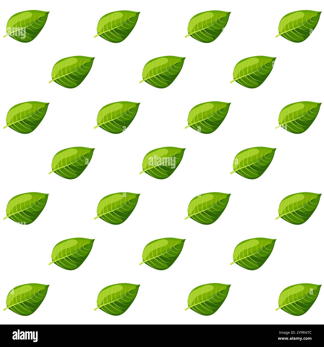 Showcasing elegant leaves Cut Out Stock Images & Pictures - Alamy