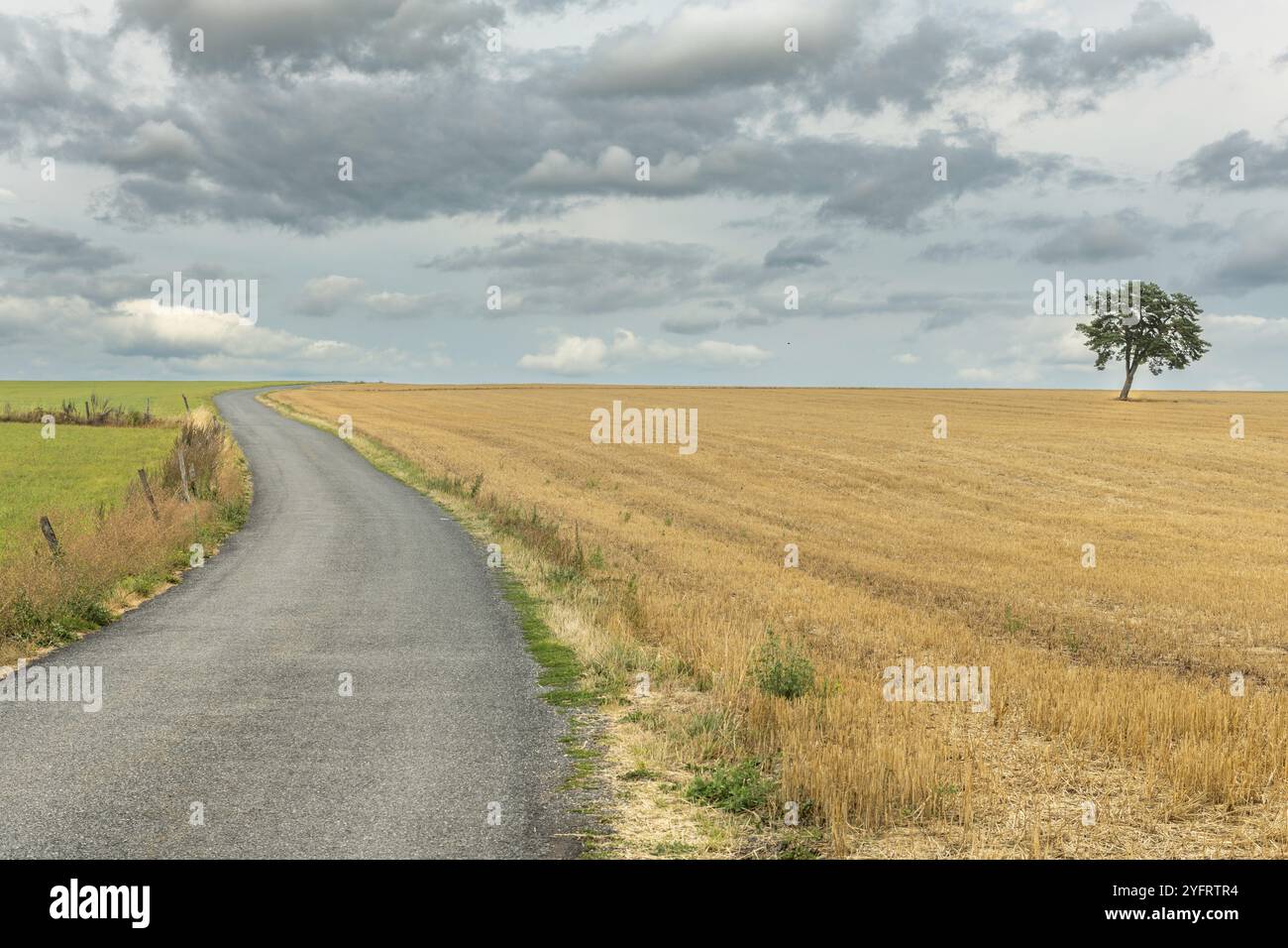 Quiet little road in French countryside. Aubrac, France, Europe Stock ...