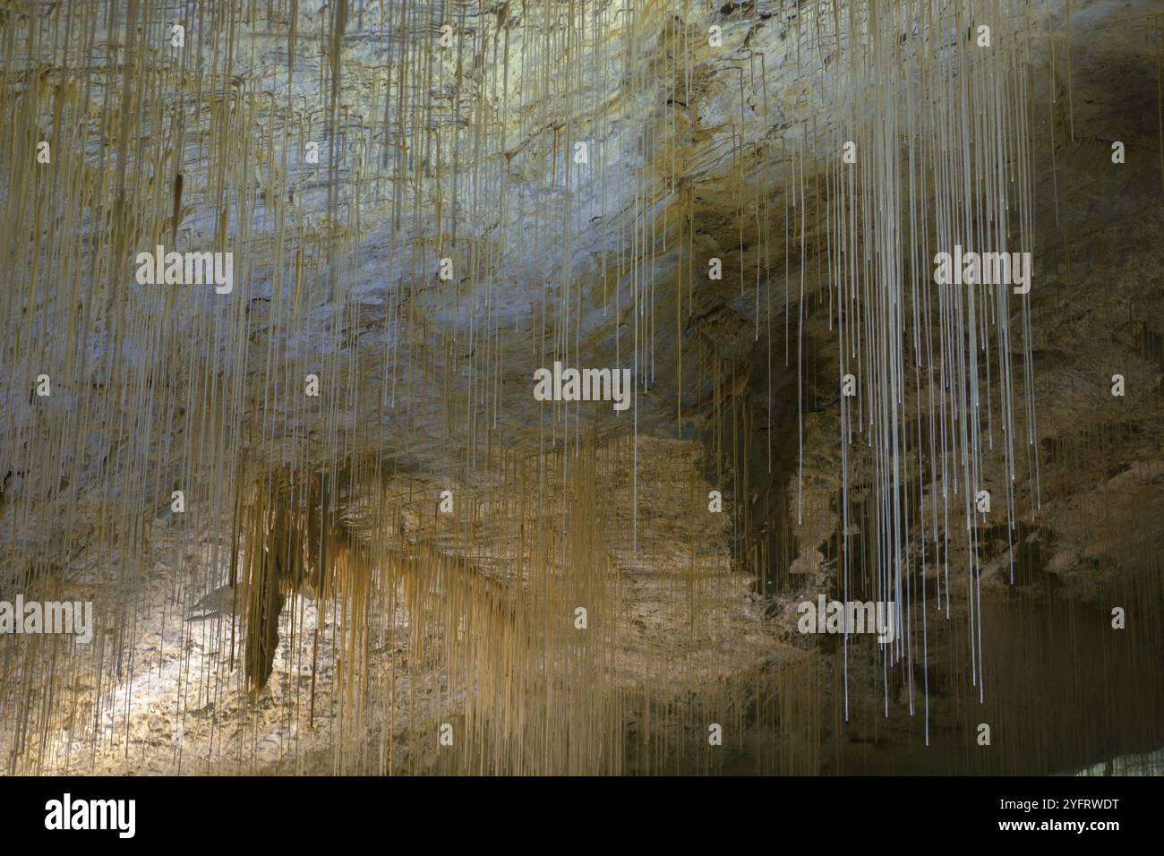 The caves of Choranche (Vercors) contain an exceptionally long fistula ...