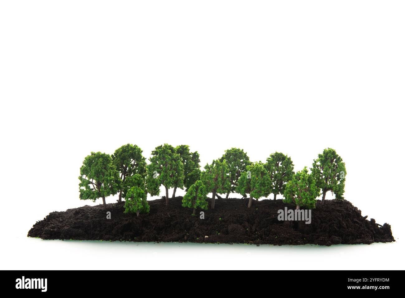 Green miniature trees in a row in black earth isolated over white ...