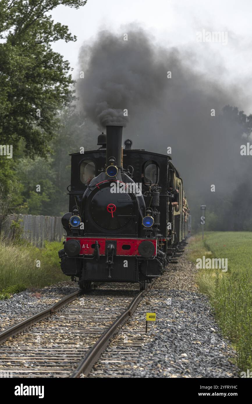 Steam locomotive of Rhine Tourist Railway in spring. Volgelsheim ...