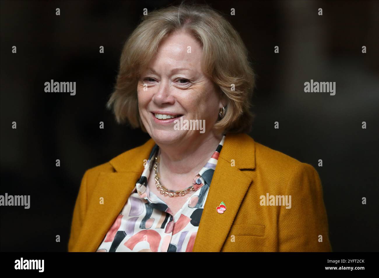 Baroness smith hi-res stock photography and images - Alamy