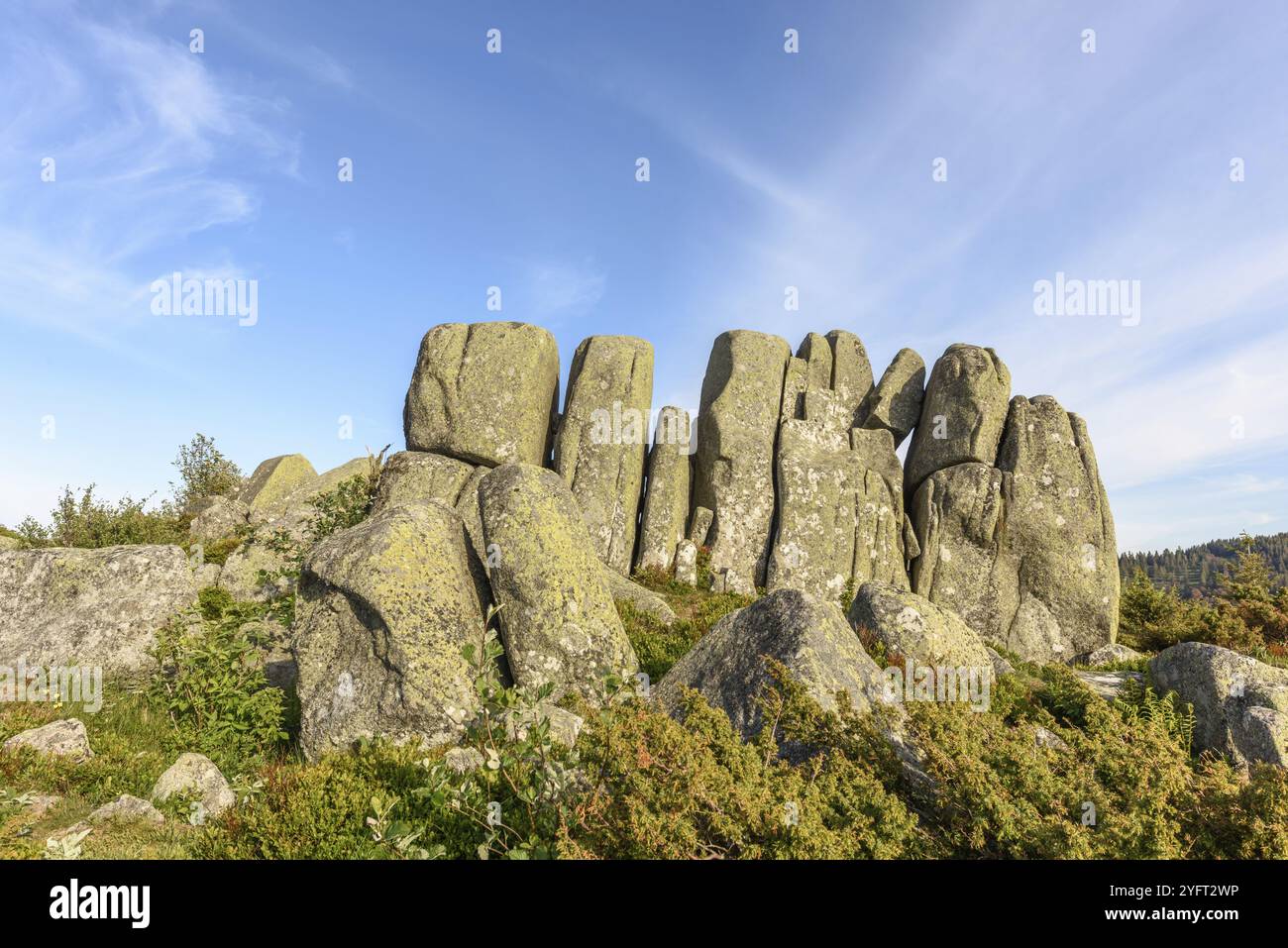 Granite rocks in the Vosges mountains in France Stock Photo - Alamy