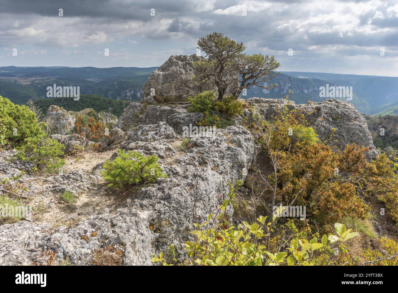 The city of stones, within Grands Causses Regional Natural Park, listed ...
