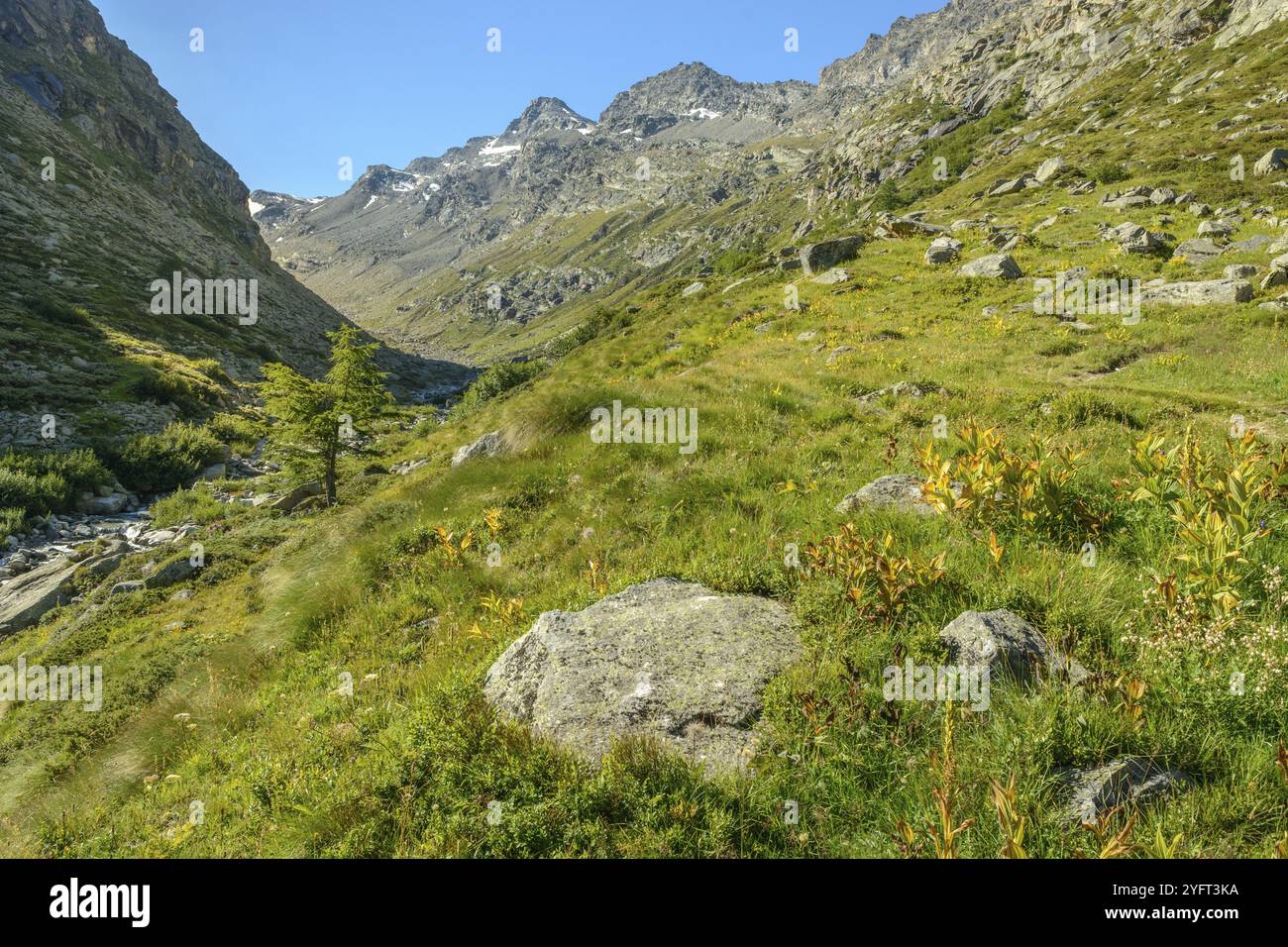 The Grand Etret Valley in the Grand Paradis National Park. pont, Aoste ...