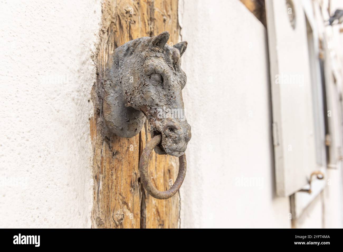 Old rusty horse's head with a ring for tying horses in a backyard ...