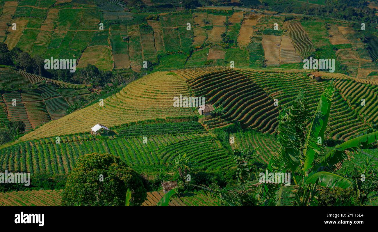 Peasant huts hi-res stock photography and images - Alamy