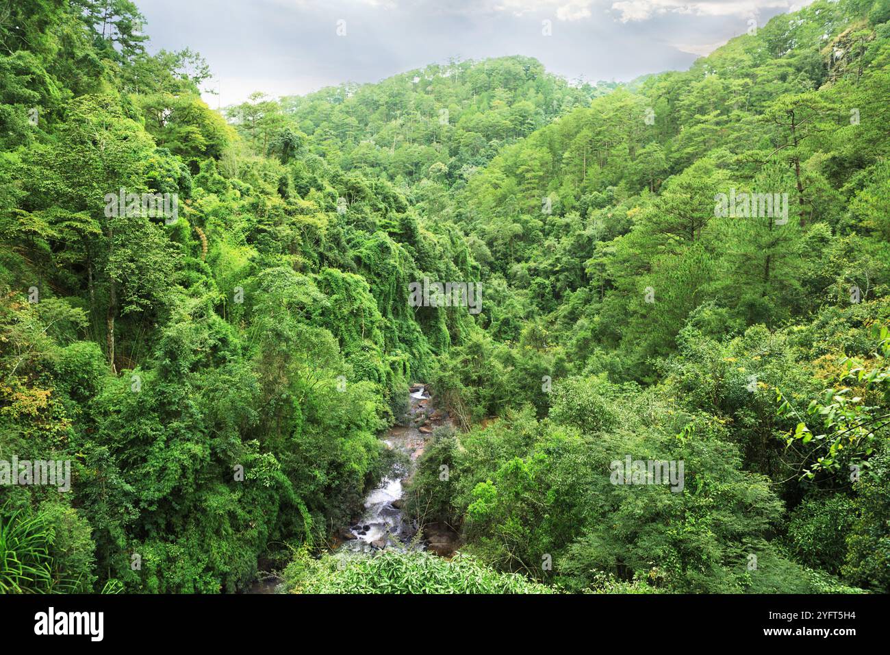 Beautiful sunny forest landscape with Datanla waterfall in Da Lat city ...