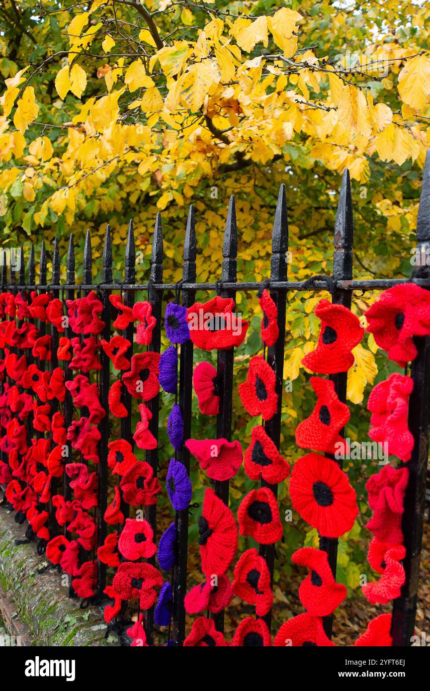 Marlow, Buckinghamshire, UK. 5th November, 2024. The Marlow Poppy ...