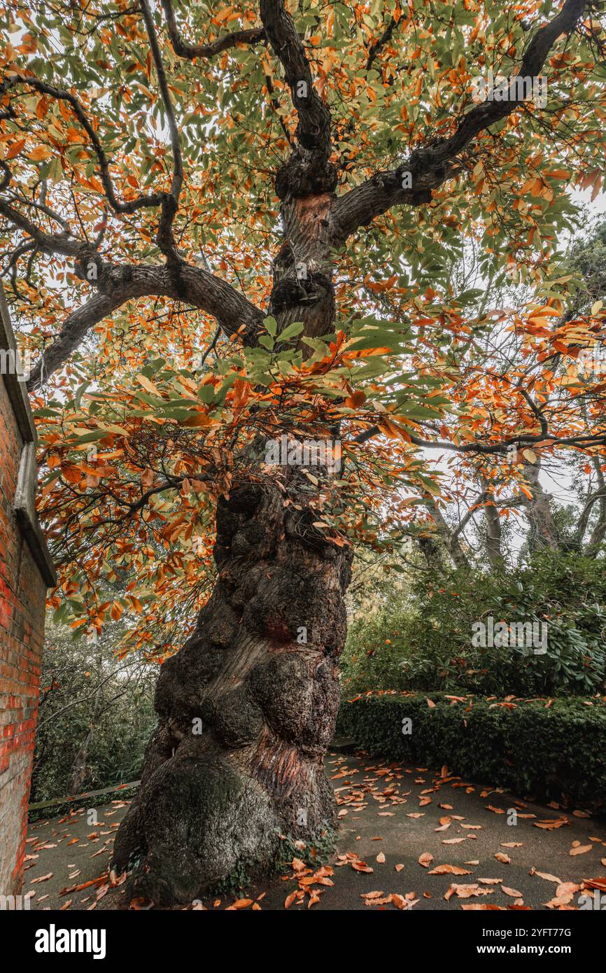 Beautiful secret places hi-res stock photography and images - Alamy