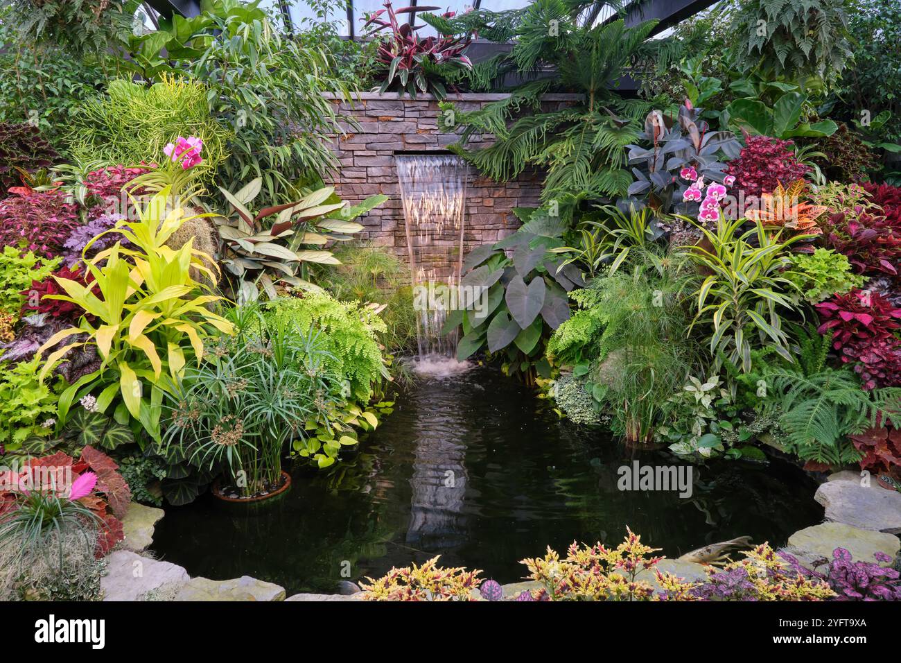 In the Show Greenhouse colorful plants surround a pond and waterfall at ...