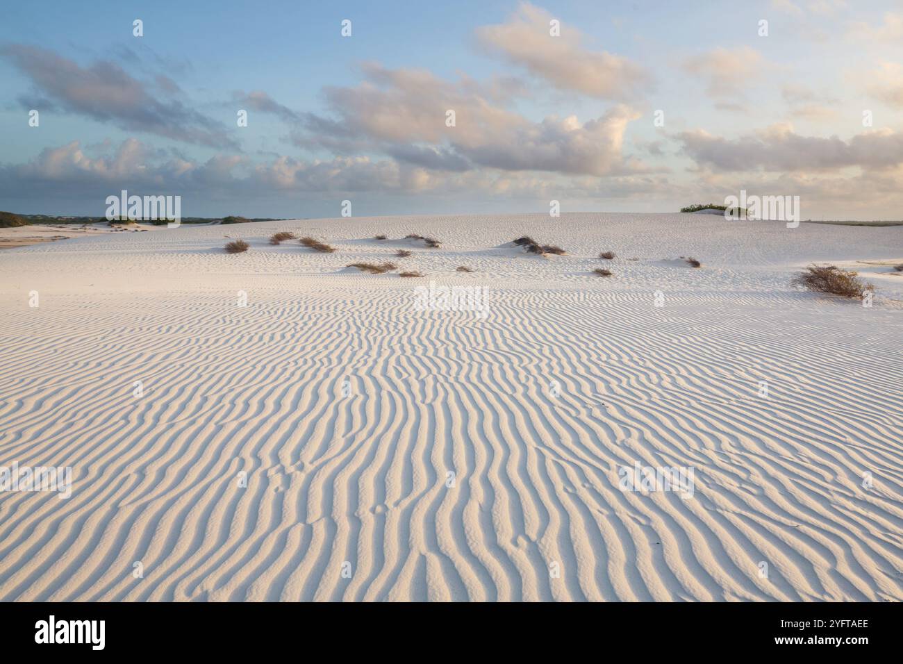 Lagoons in the desert of Lencois Maranhenses National Park, Brazil ...
