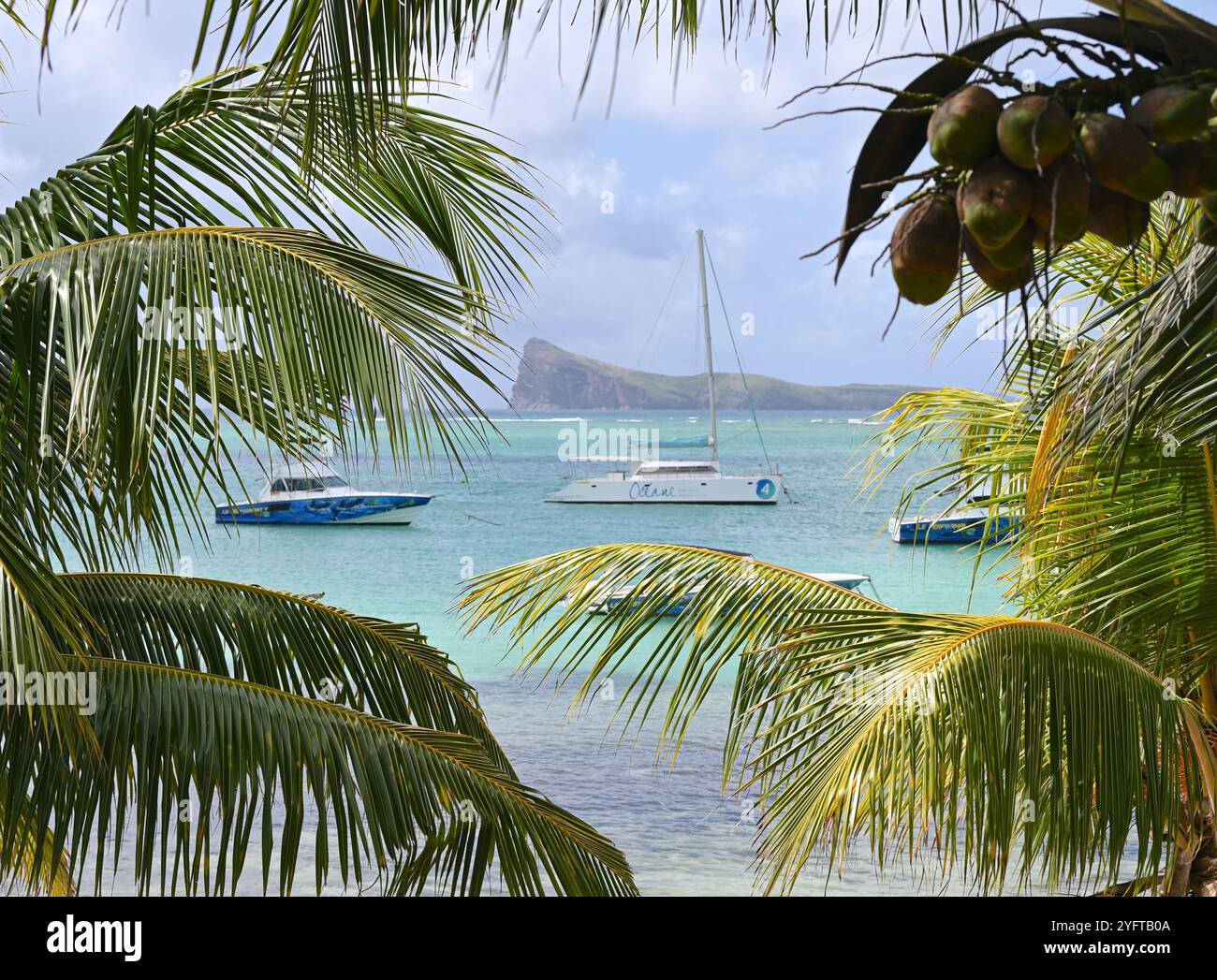 Paradise beach with coconut palm trees and ocean view in Mauritius ...