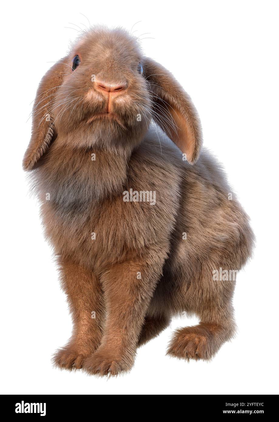 3D rendering of a holland lop rabbit isolated on white background Stock ...