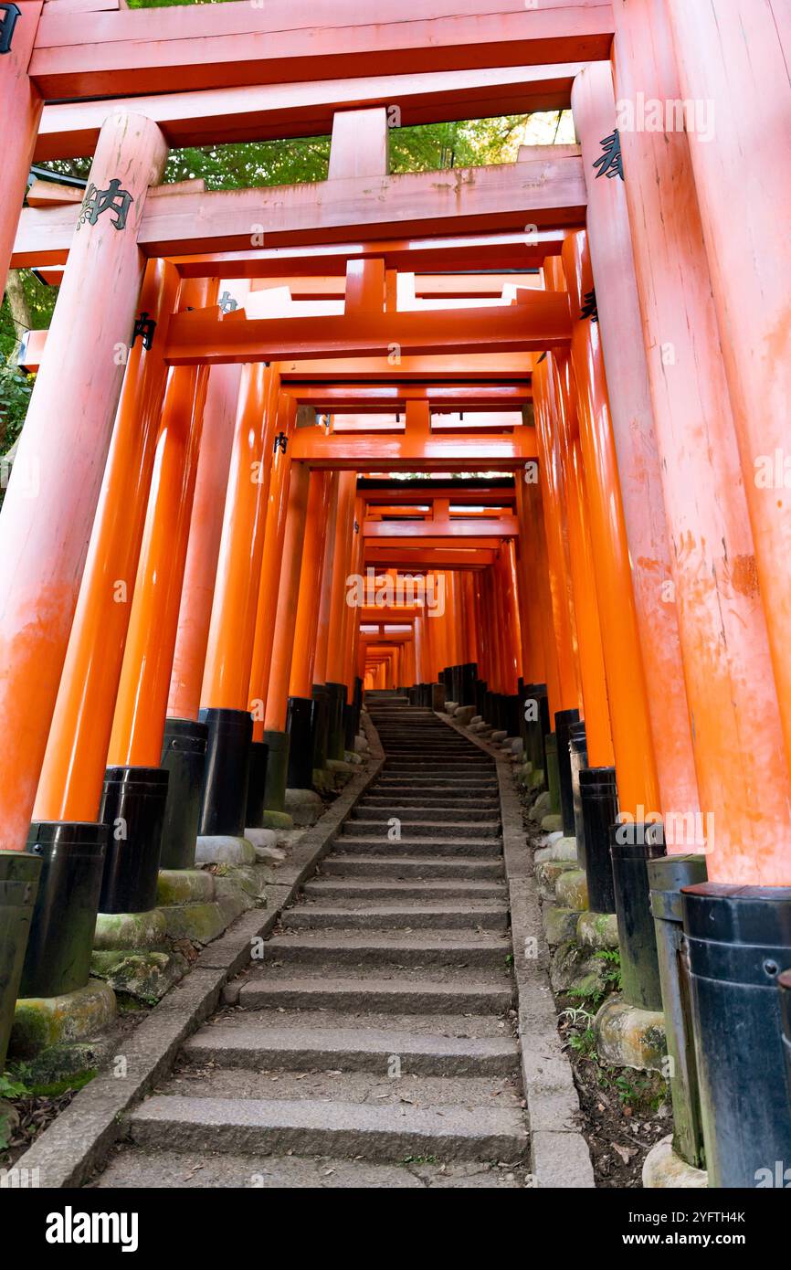 Inari belief hi-res stock photography and images - Alamy
