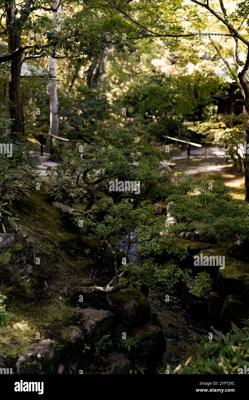 Isuien Garden, traditional japanese garden in Nara, Japan. © Giorgia De ...