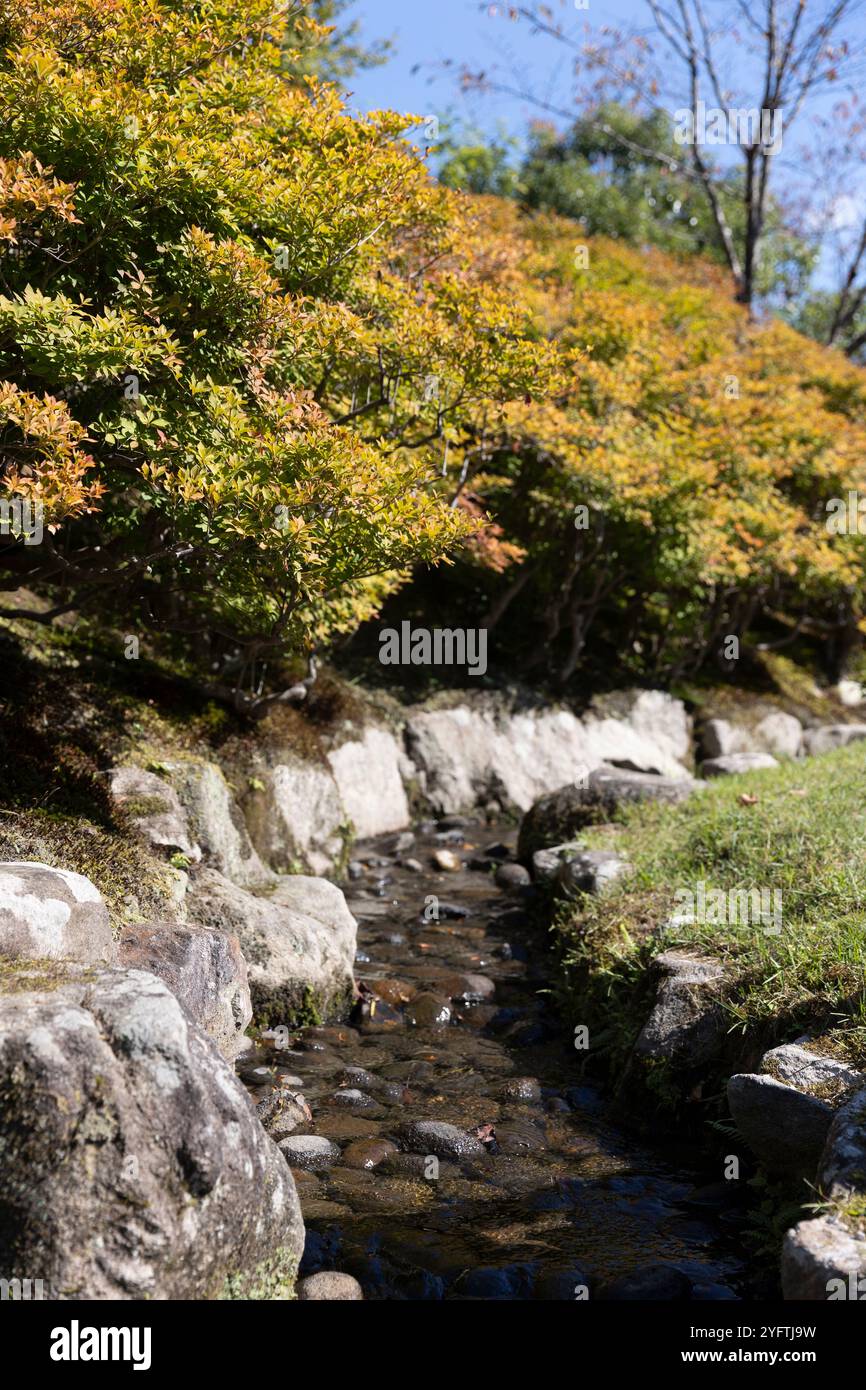 Isuien Garden, traditional japanese garden in Nara, Japan. © Giorgia De ...