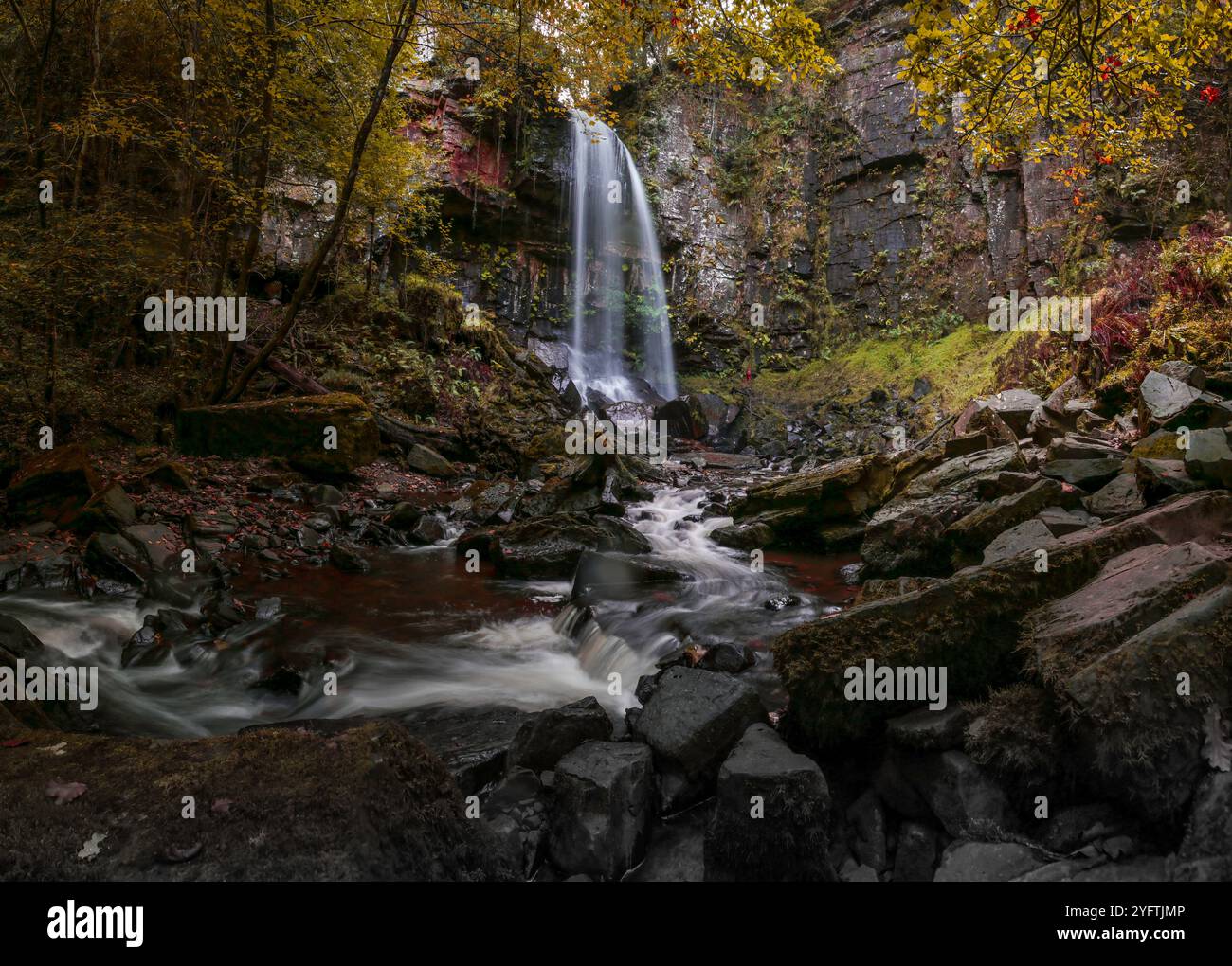 Seasonal Autumn view of Melincourt waterfall, the moody and beautiful ...