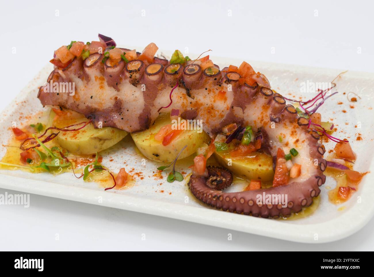 Octopus tentacle gourmet serving in a fancy restaurant Stock Photo - Alamy