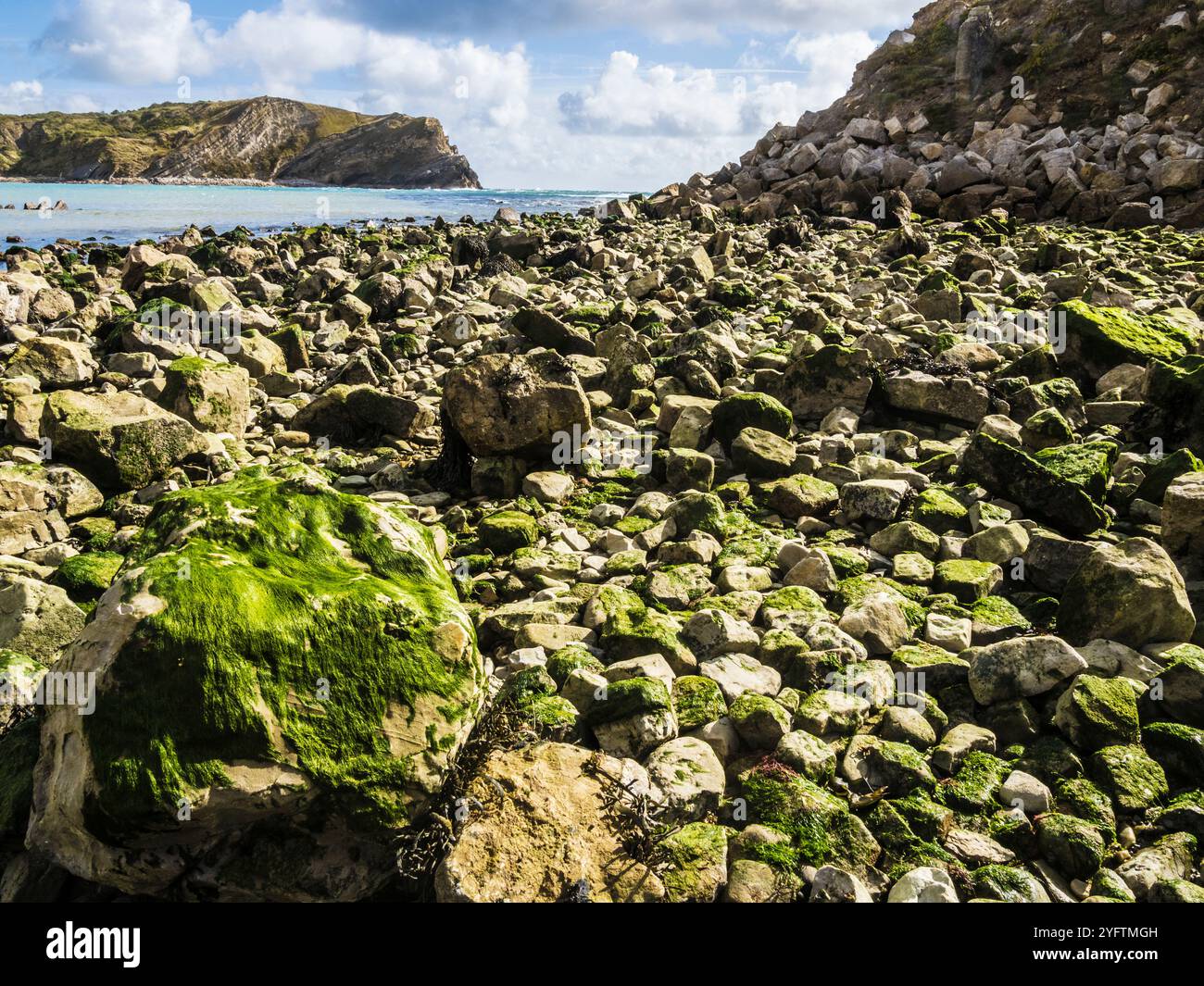 Lulworth Cove on the Jurassic Coast in Dorset Stock Photo - Alamy