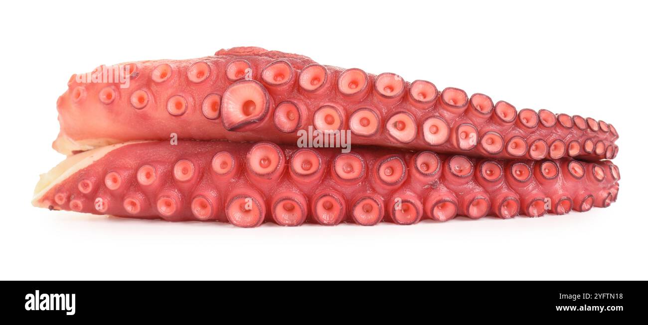 Two raw octopus tentacles isolated on white Stock Photo - Alamy