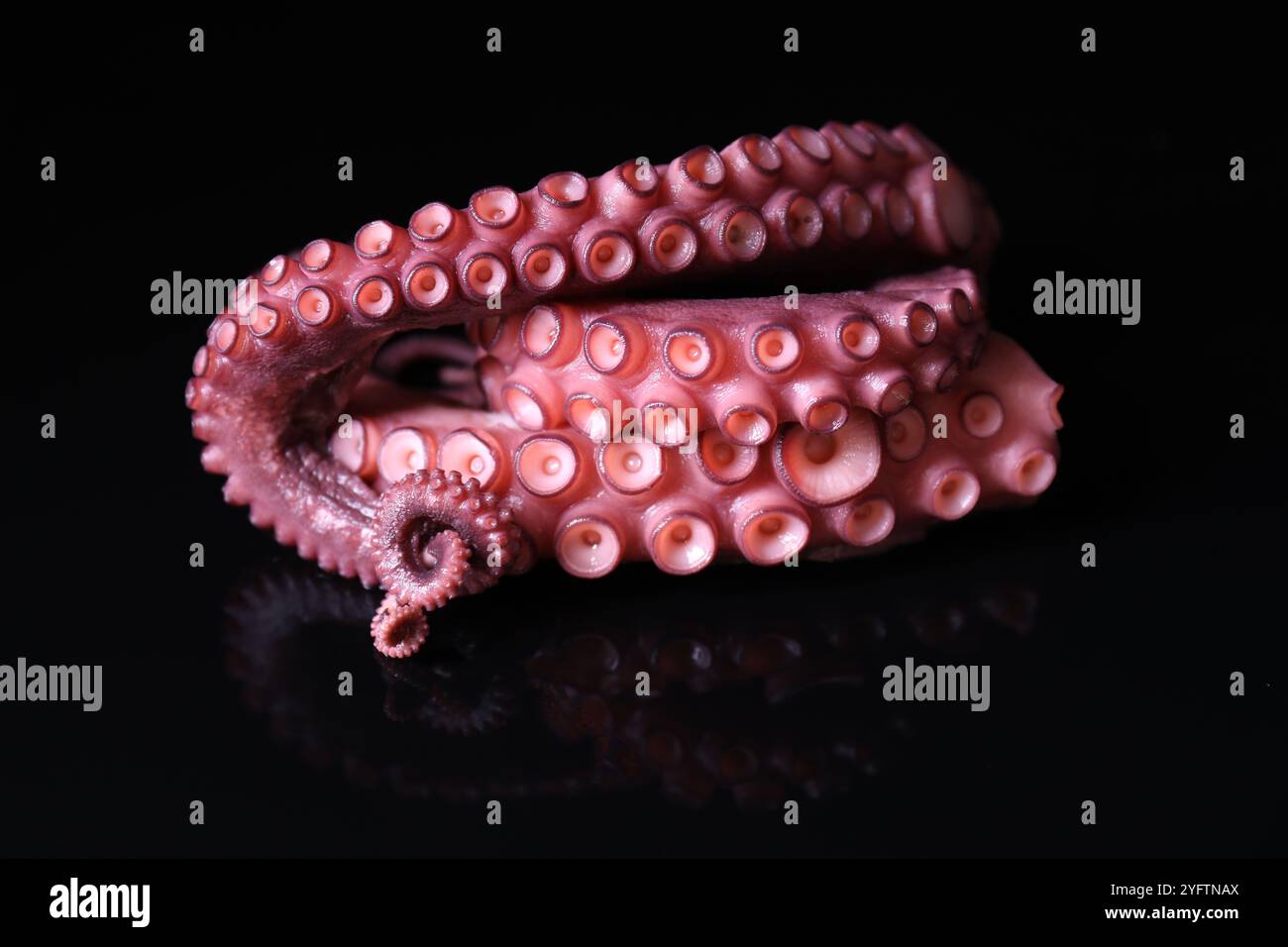 Cut fresh raw octopus on black mirror surface Stock Photo - Alamy
