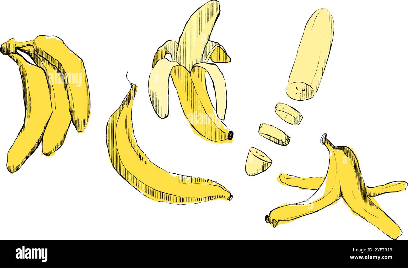 Bananas graphic Cartoon set. Banana peel, banana slice, and yellow fruit of bananas. Vector ...