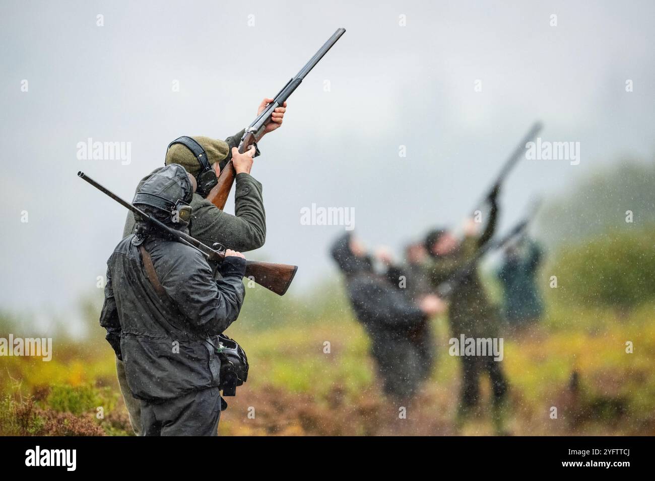 Driven grouse and partridge shooting on a Highland Scotland estate ...