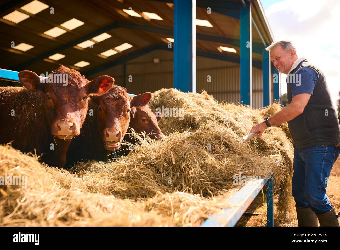 Male farm worker using hi-res stock photography and images - Alamy