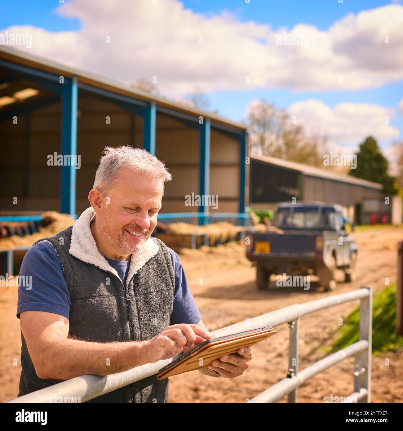 Farmer checking cattle tablet hi-res stock photography and images - Alamy