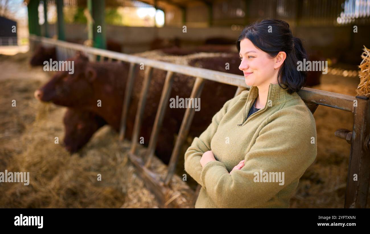 Portrait Of Young Female Farm Worker Checking On Cattle In Barn Stock ...