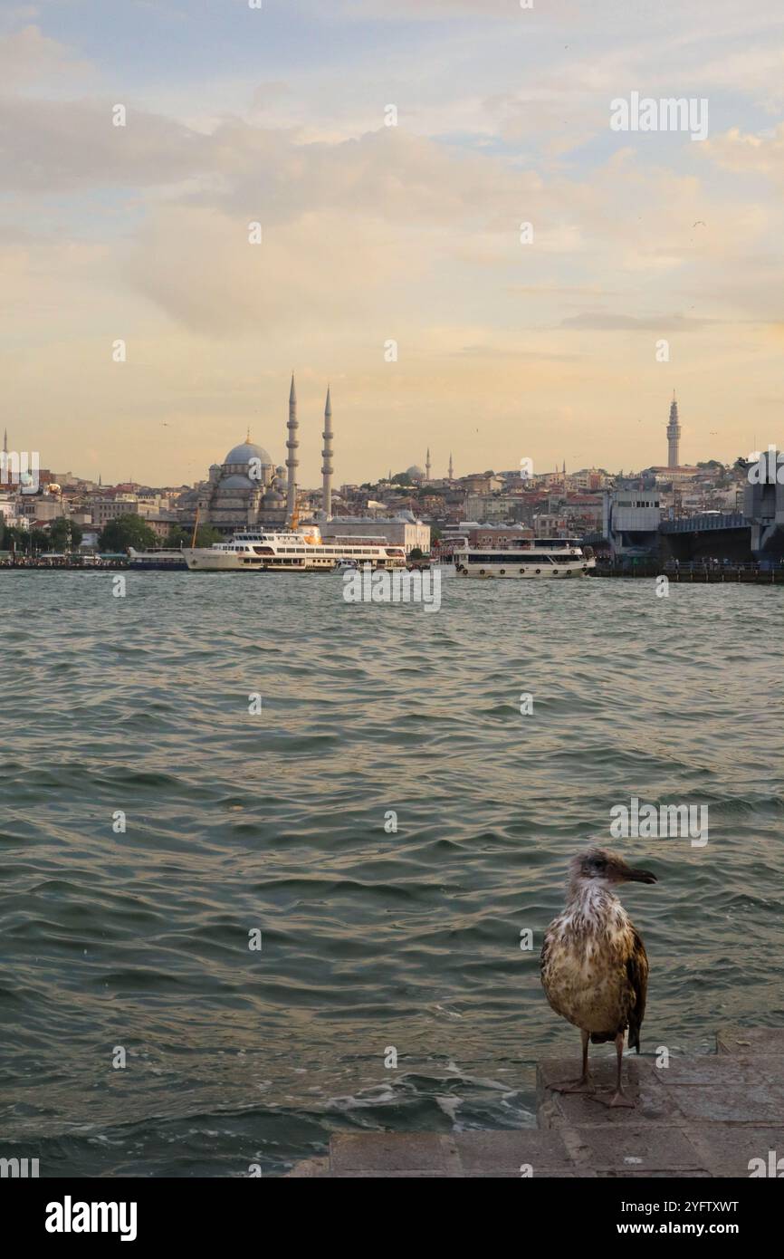 AROUND THE WORLD Stock Photo - Alamy