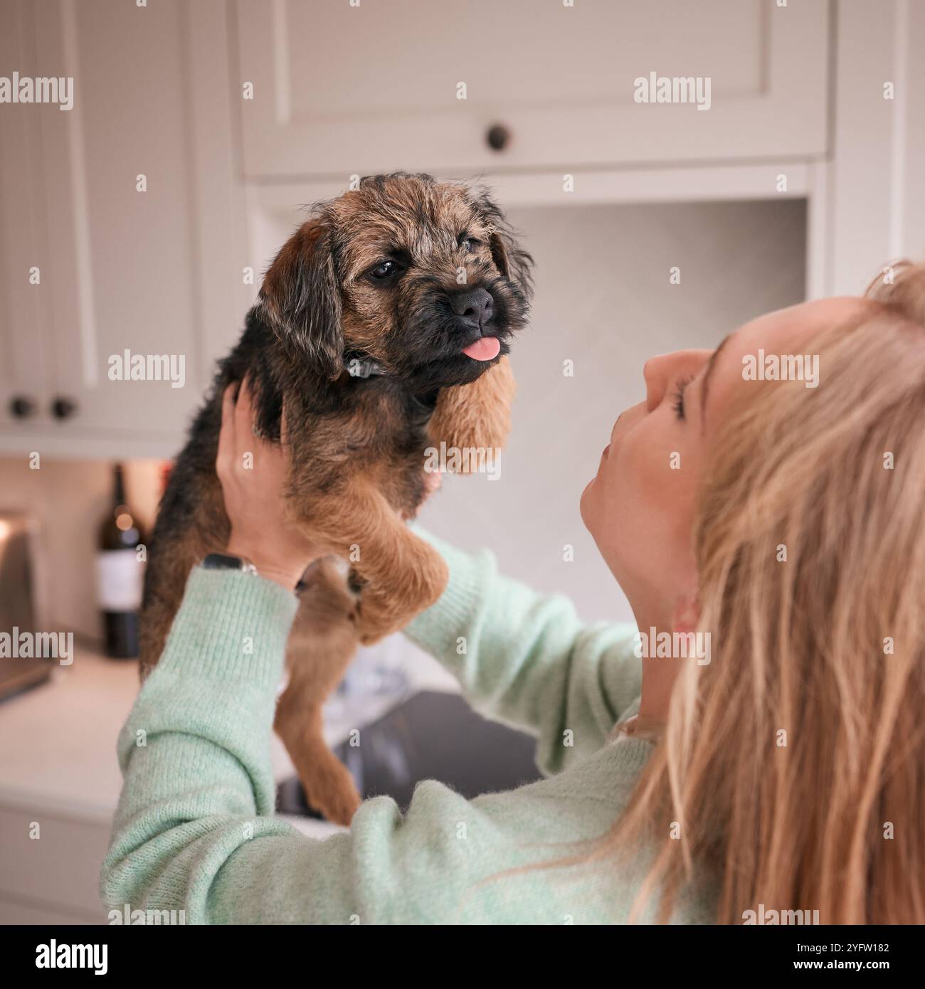 Puppy cuddling owner hi-res stock photography and images - Alamy