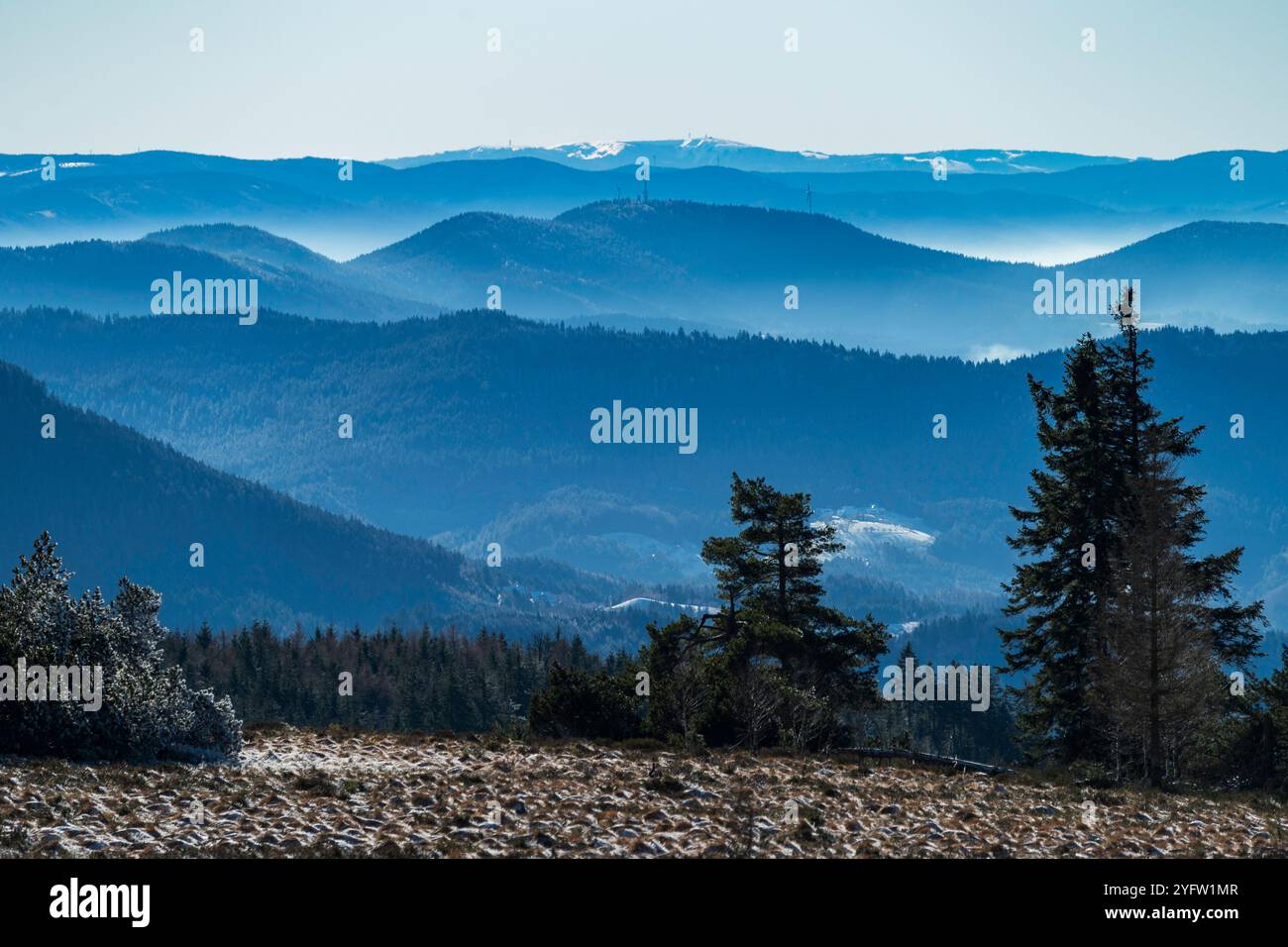 Mist over forest hills hi-res stock photography and images - Alamy