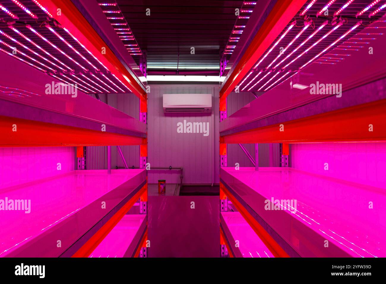 Led racks hi-res stock photography and images - Alamy