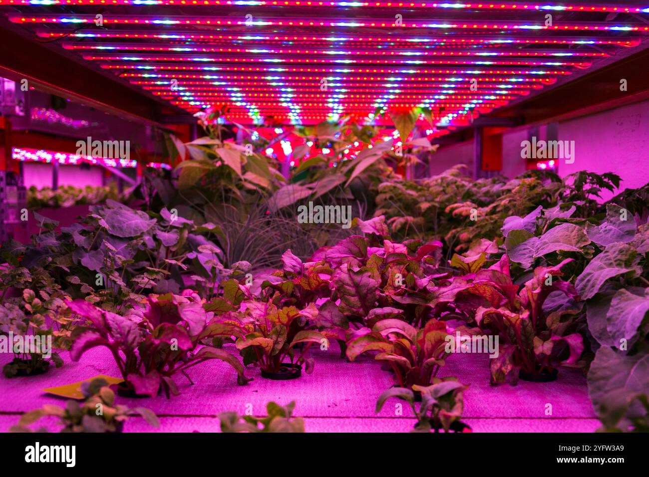 Led racks hi-res stock photography and images - Alamy