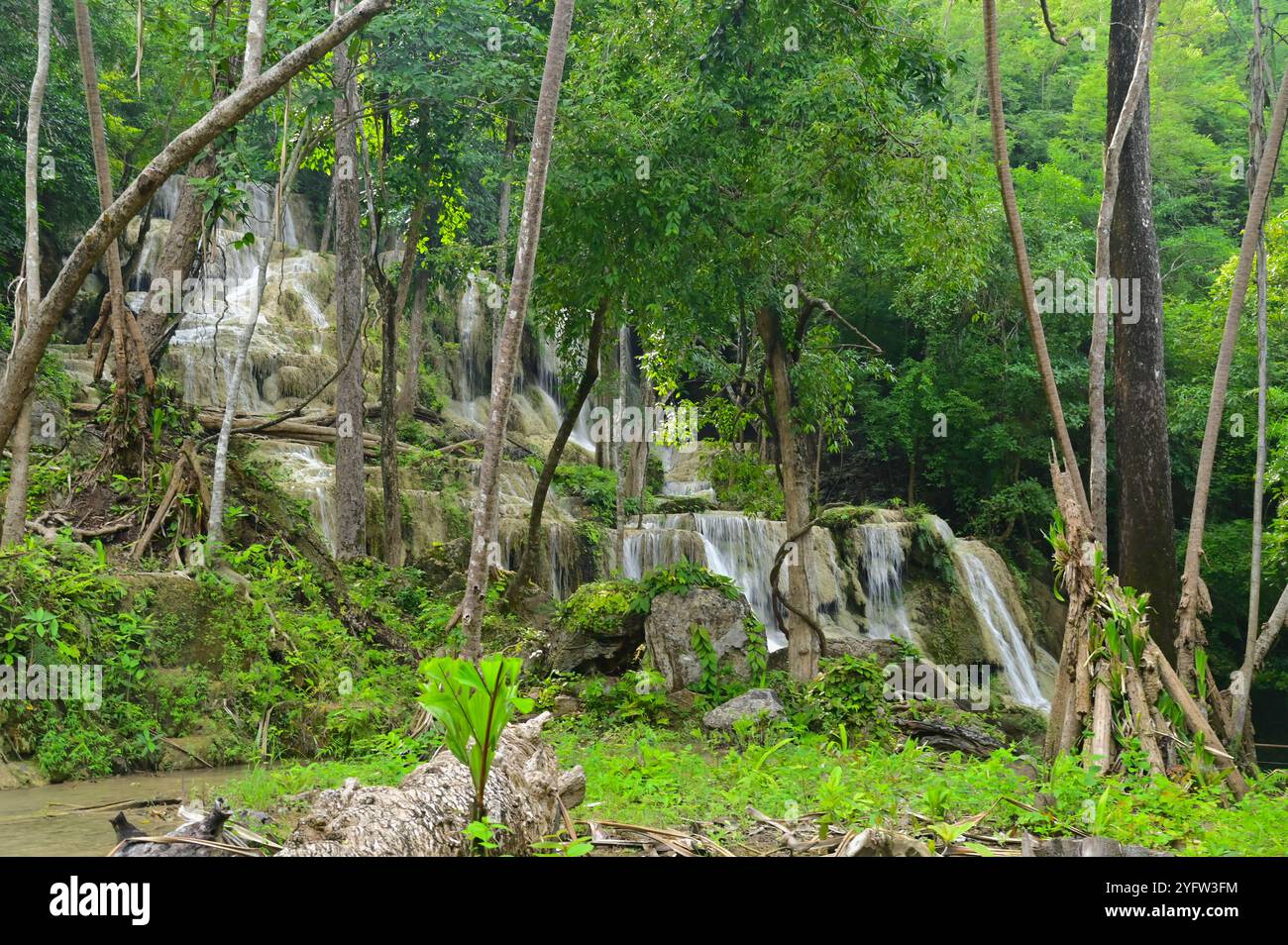 Beautiful waterfalls summer in thailand hi-res stock photography and ...