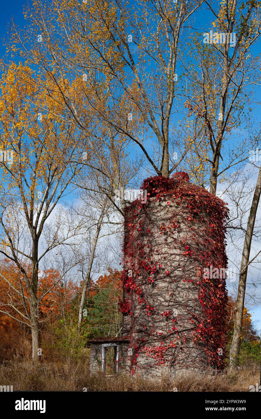 Inside silo hi-res stock photography and images - Alamy
