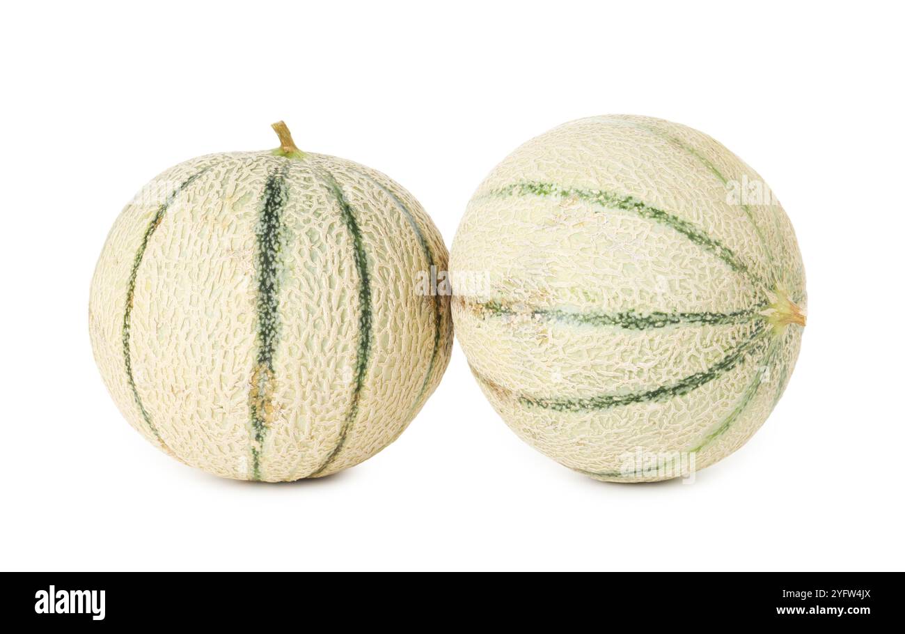 Two whole Cantaloupe melons isolated on white Stock Photo - Alamy